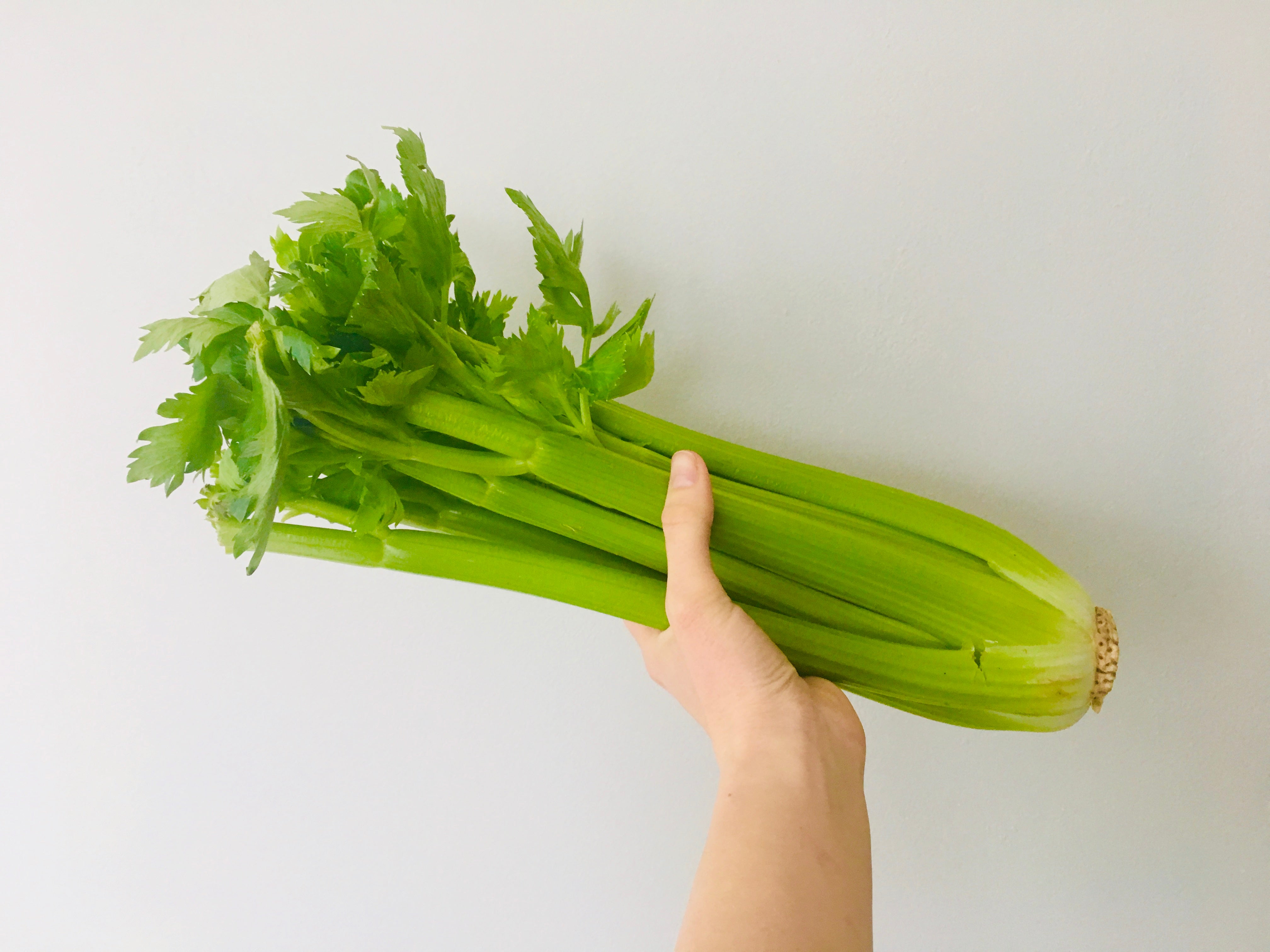Celery, A Humble Hero? — Zen Donkey Farms