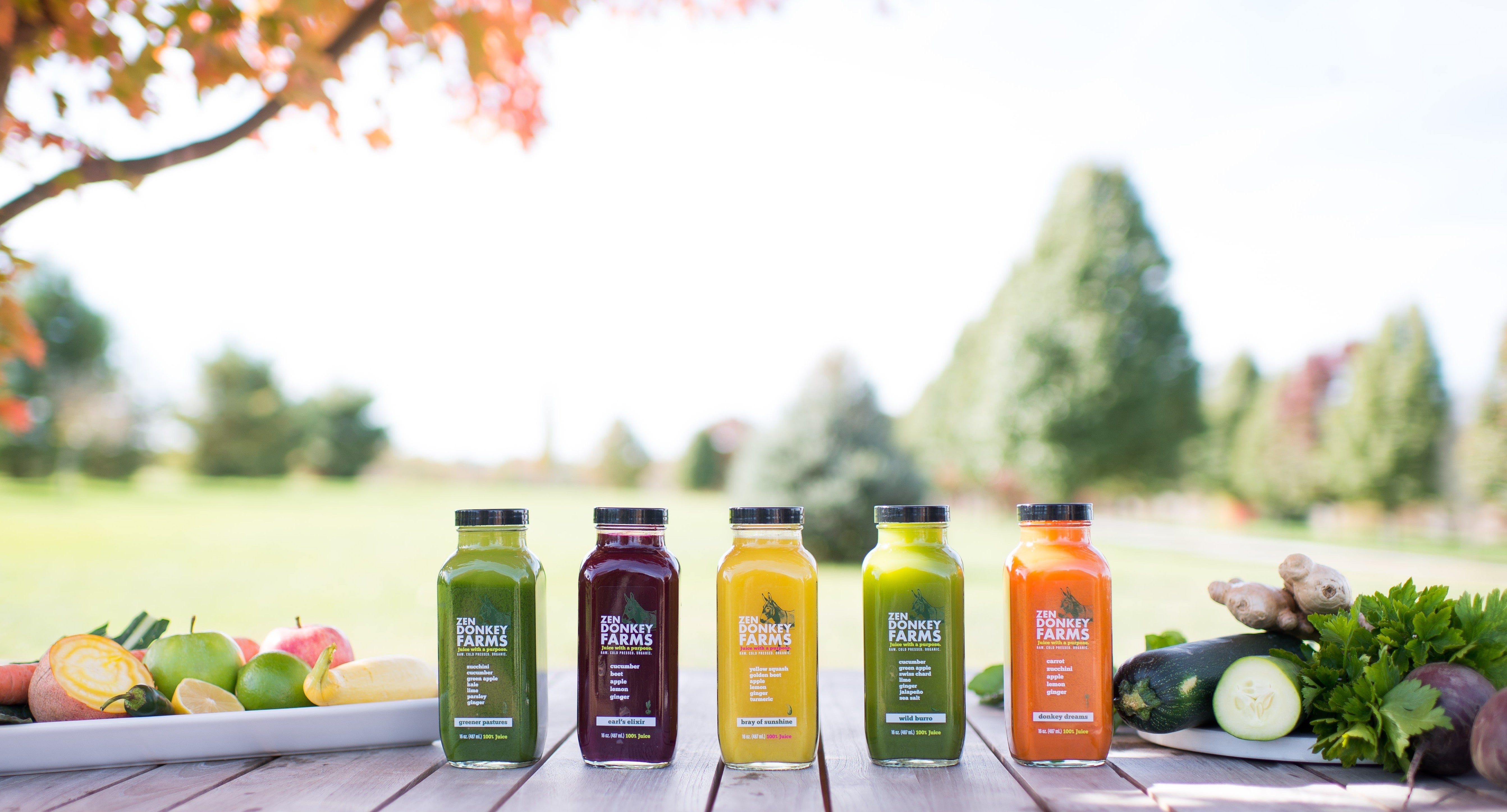 Welcome to the Juice Life: Basics of Raw Juice — Zen Donkey Farms