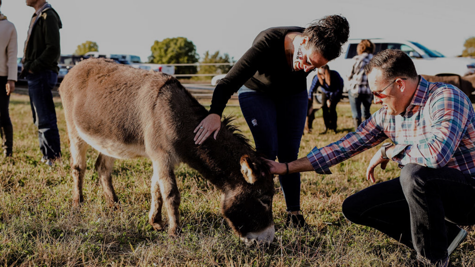 ZEN DONKEY FARMS | RAW, COLD-PRESSED, ORGANIC JUICE
