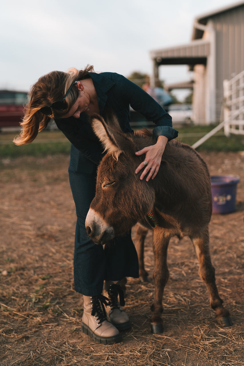 Dining for Donkeys - SEPTEMBER 21, 2024 (SOLD OUT) - Zen Donkey Farms